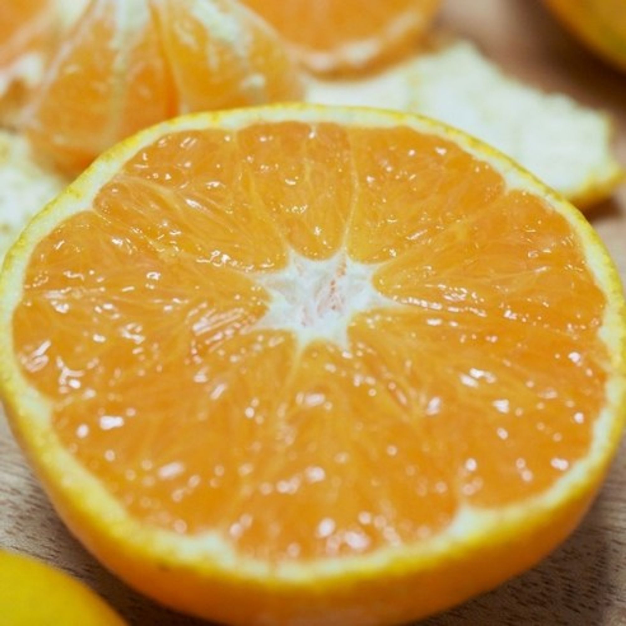 귤탐 고당도 하우스감귤 천상의맛 15brix 고당도 특수농법 타이벡 감귤 - 고급 감귤의 맛을 즐겨보세요! 가격비교 - baby